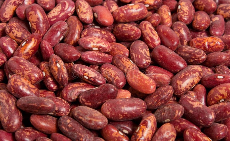 Red haricot beans stock image. Image of cuisine, grains - 11916801