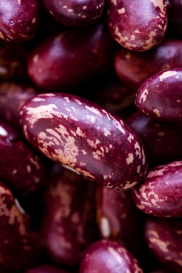 Red Haricot beans stock image. Image of seeds, nutrition - 11926469