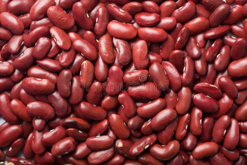Red haricot beans isolated stock image. Image of backdrop - 9139975