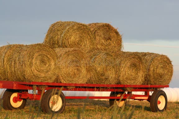 Red hay wagon stock image. Image of farm, edward, island - 7479471