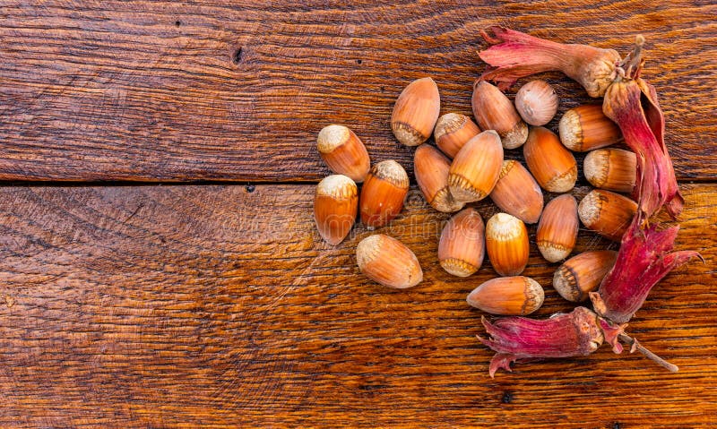Red Hazelnuts on a Wooden Board. Isolated Hazelnuts Stock Image - Image ...