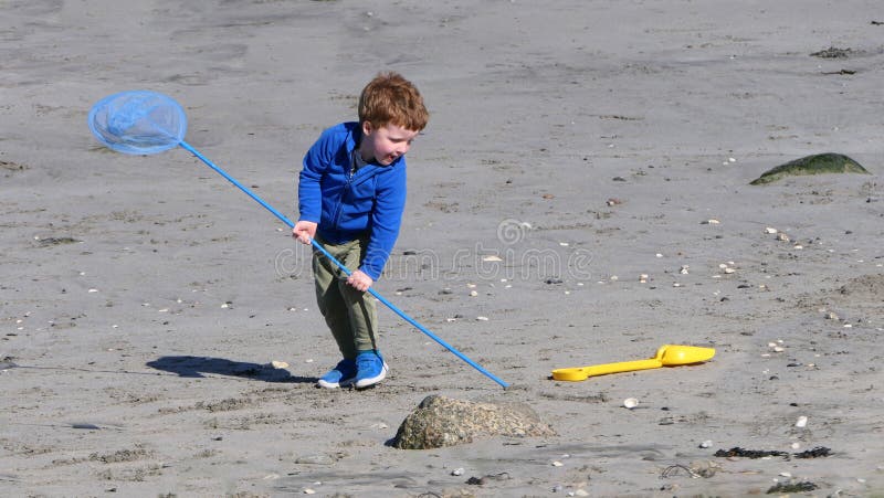 Red Headed Playing with a Fishing Net on Sandy Beach in Ireland Stock ...