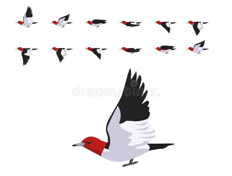 Flying Animation Sequence Stock Illustrations – 730 Flying Animation ...