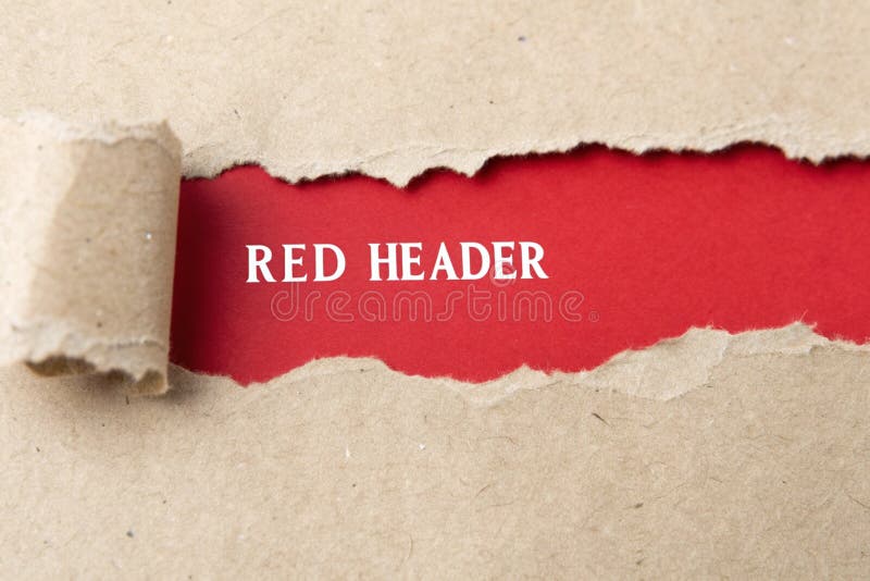 Red Header in Torn Paper Hole Isolated Stock Illustration ...