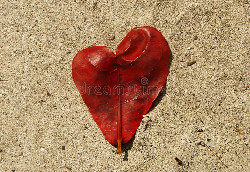 Red heart stock photo. Image of relax, recreation, tourism - 18693628
