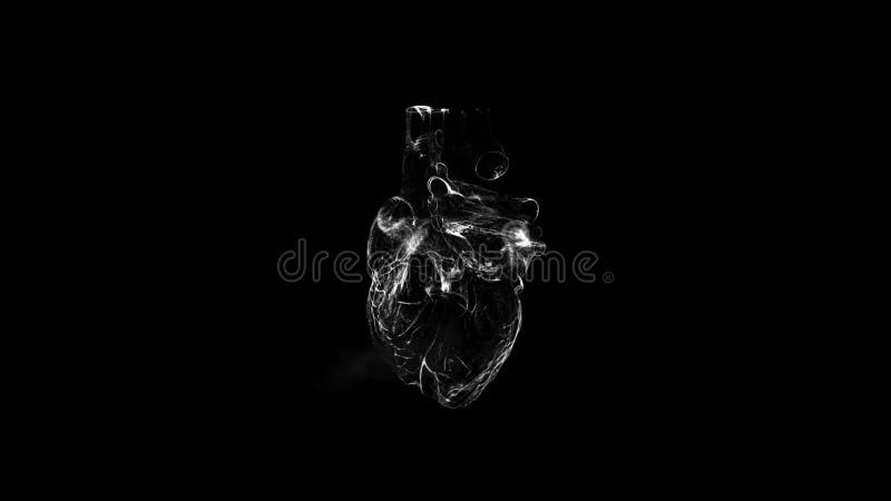 Red Heart Animation. Seamless Loop with Alpha Stock Video - Video of ...