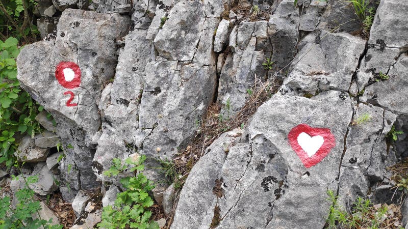 Red Heart As a Marking on the Love Path Stock Photo - Image of tree ...