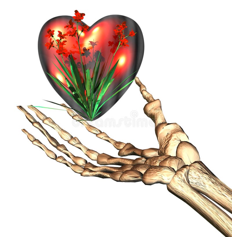 Red heart in bones hand stock illustration. Illustration of bone - 11547811