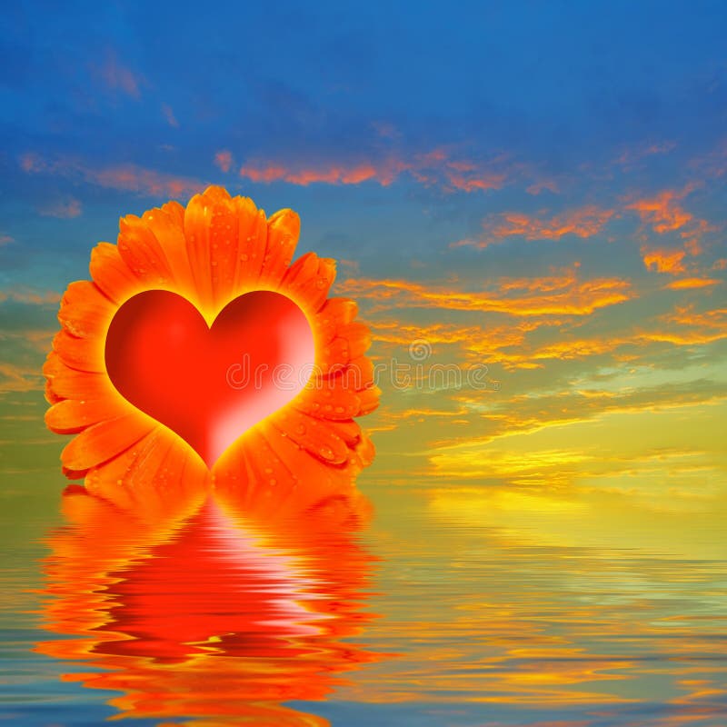 Red Heart in Center Orange Flower Stock Photo - Image of orange, drop ...