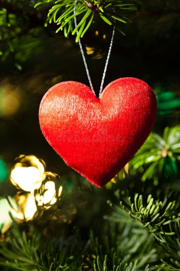 Red Heart in Christmas Tree Stock Photo - Image of decorative, advent ...
