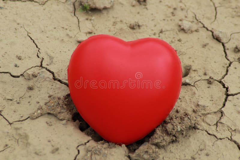 Red Heart in Dried-up Puddle Stock Photo - Image of love, crack: 99066776