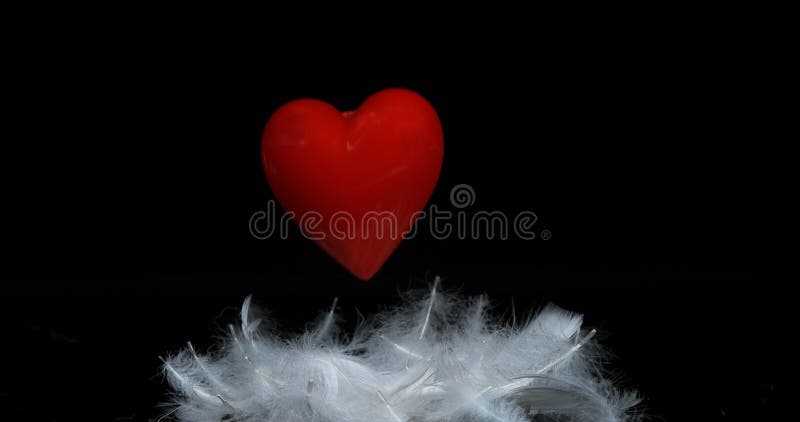 Red Heart and Feather for Saint Valentine S Day Stock Photo - Image of ...