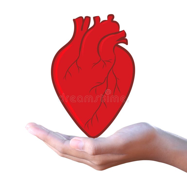 Hand Transplant Stock Illustrations – 1,735 Hand Transplant Stock ...