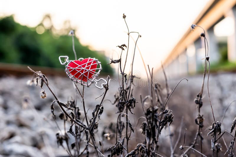 Red Heart on the Hay beside the Train Stock Image - Image of ...