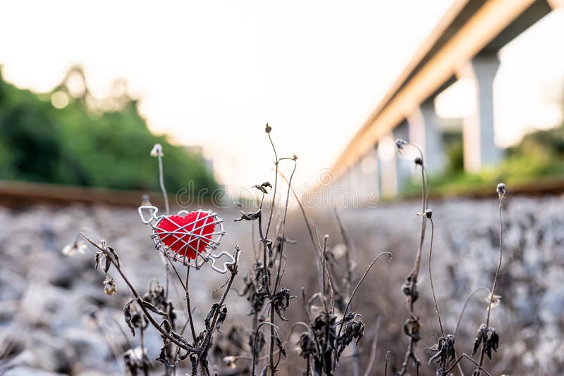 Red Heart on the Hay beside the Train Stock Image - Image of heart ...