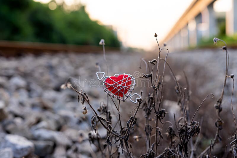 Red Heart on the Hay beside the Train Stock Image - Image of white ...
