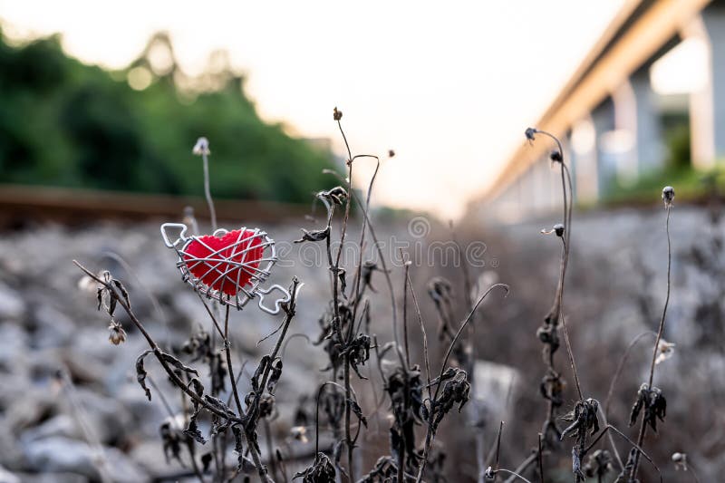 Red Heart on the Hay beside the Train Stock Photo - Image of heart ...