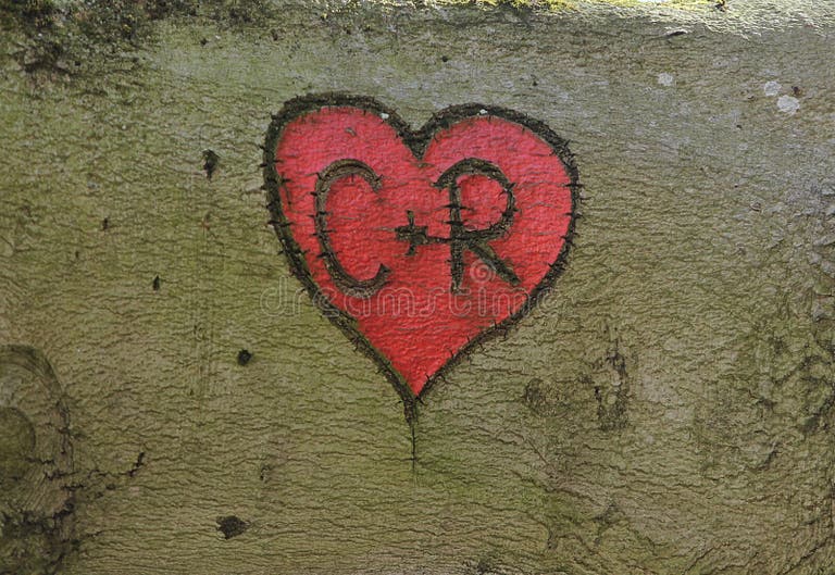 Red Heart with Initials,carved in a Tree Bark Stock Image - Image of ...