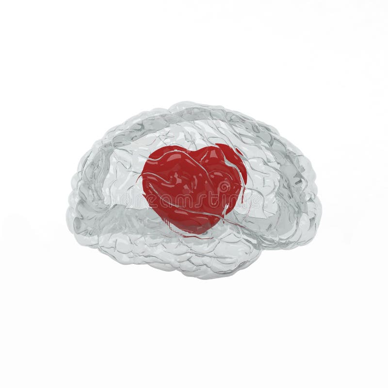 Red Heart Inside Glass Brain on White Background. Stock Illustration ...