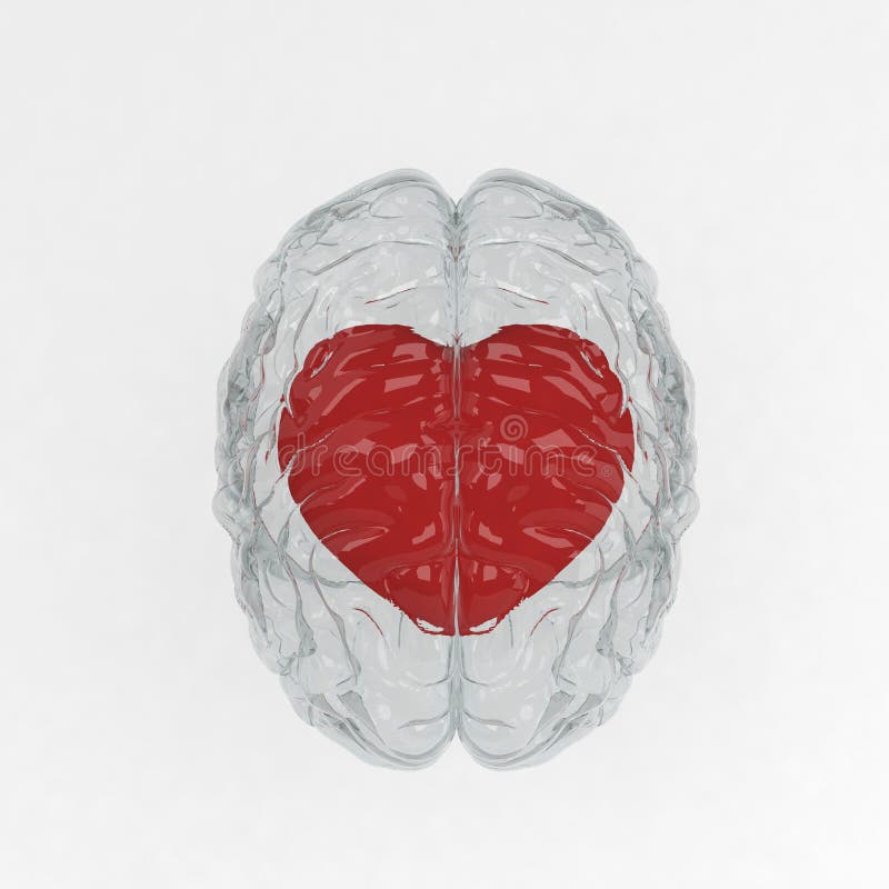 Heart and Human Brain Symbol Stock Vector - Illustration of brain ...