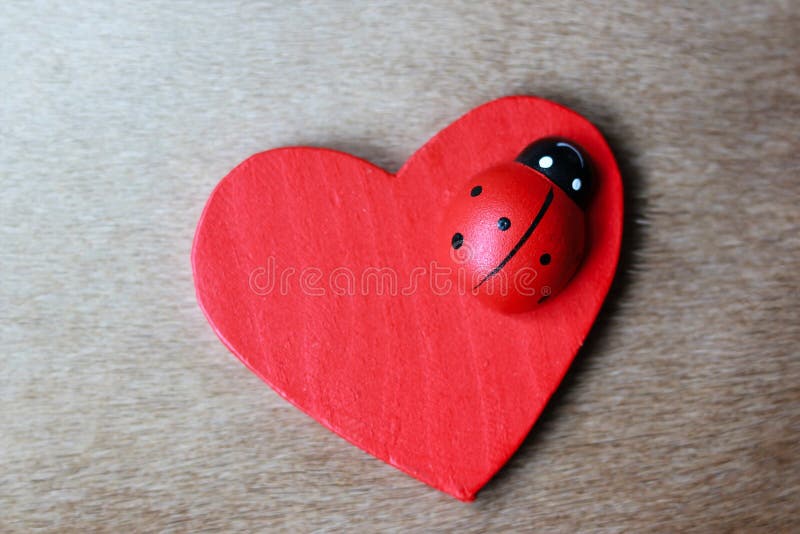 A Red Heart with Lady Beetle Stock Photo - Image of symbol, beetle ...