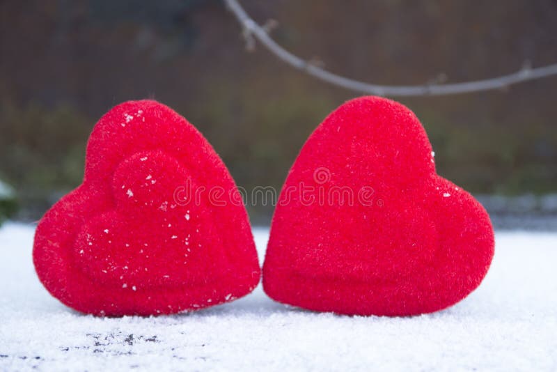 Heart of Nature stock image. Image of concept, sunlight - 25446913