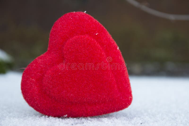 Heart of Nature stock image. Image of concept, sunlight - 25446913