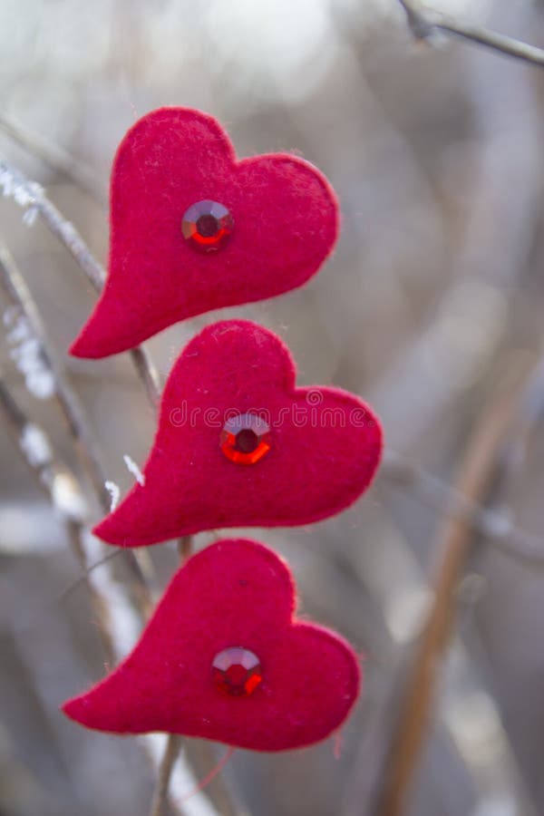 Red Heart in Nature Decoration Stock Photo - Image of decor, design ...
