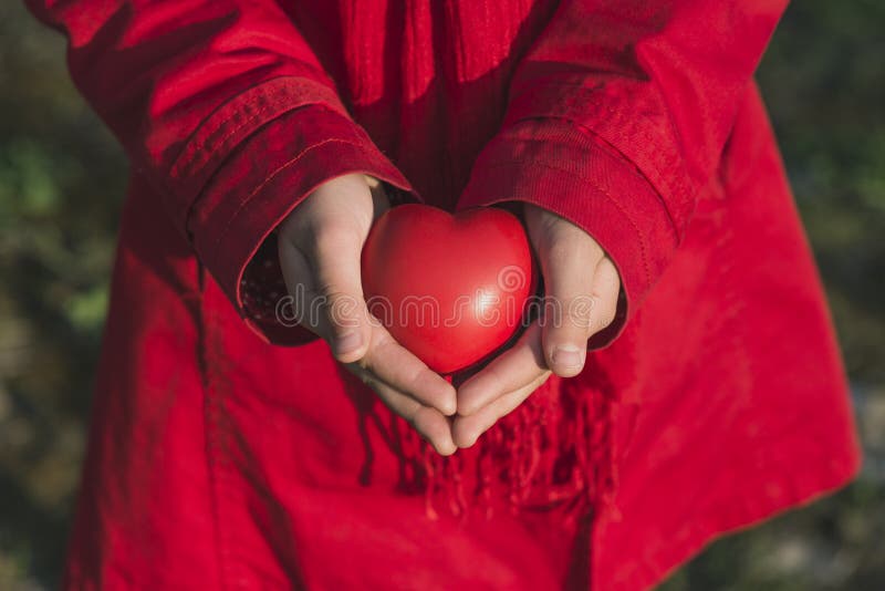 Red heart in open hands stock image. Image of gift, kind - 112952383