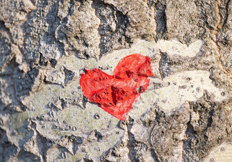 Red Heart Painted on the Bark of a Tree Stock Image - Image of tree ...