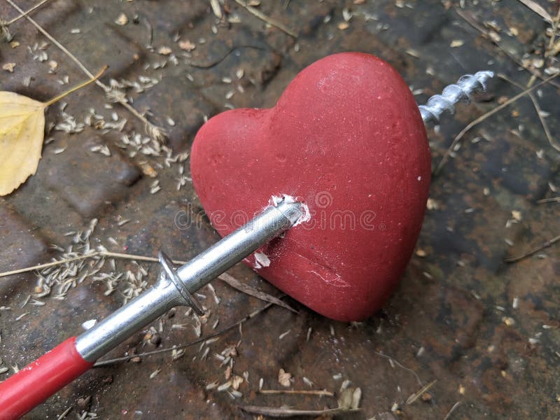 Heart pierced with stock photo. Image of concept, cupid - 227323642