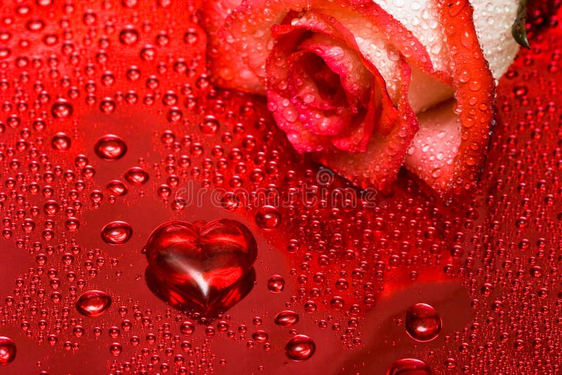 Heart as a rain drop stock photo. Image of drops, drop - 8183772