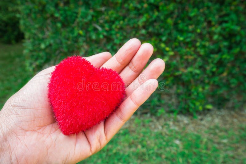 Red Heart Shape on Female S Hand for Valentine Day Stock Image - Image ...