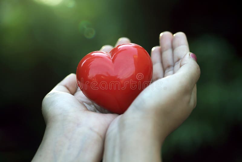Red Heart Shape in the Hands Against Green Background Stock Image ...