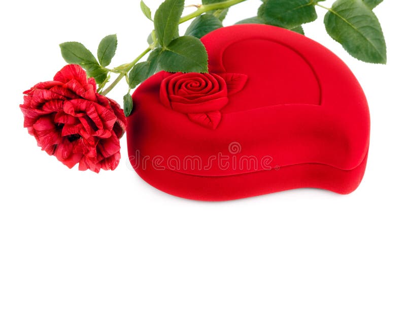 Red Heart Shaped Casket Rose Isolated White Background Stock Photos ...