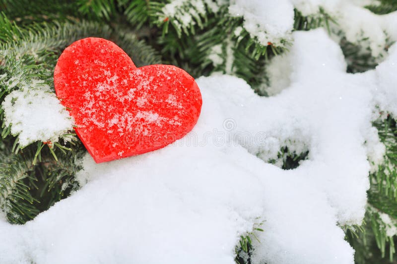 Red Heart in the Snow on Tree Stock Photo - Image of symbol, cold: 86380262