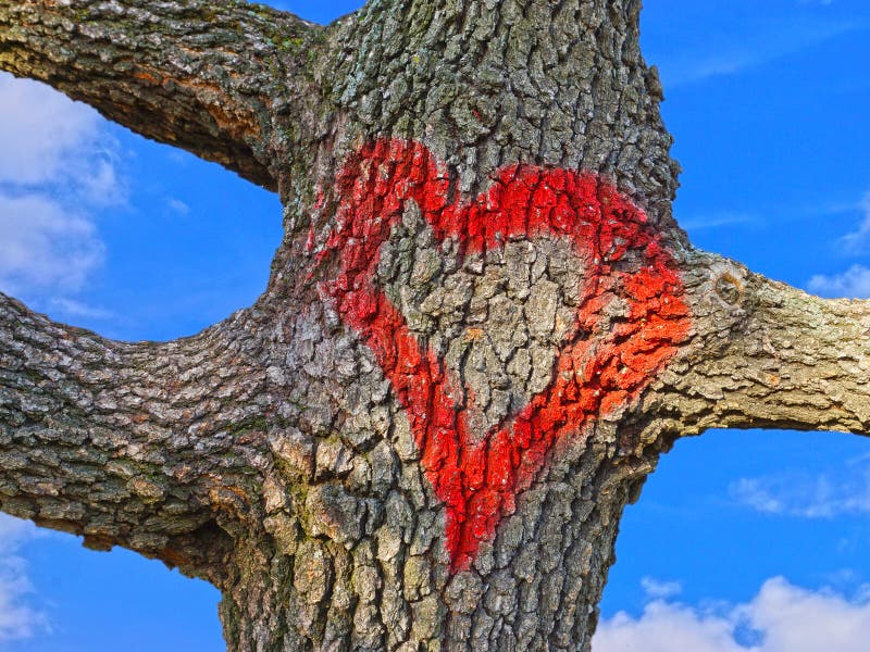 Red heart on tree bark stock image. Image of abstract - 37260687