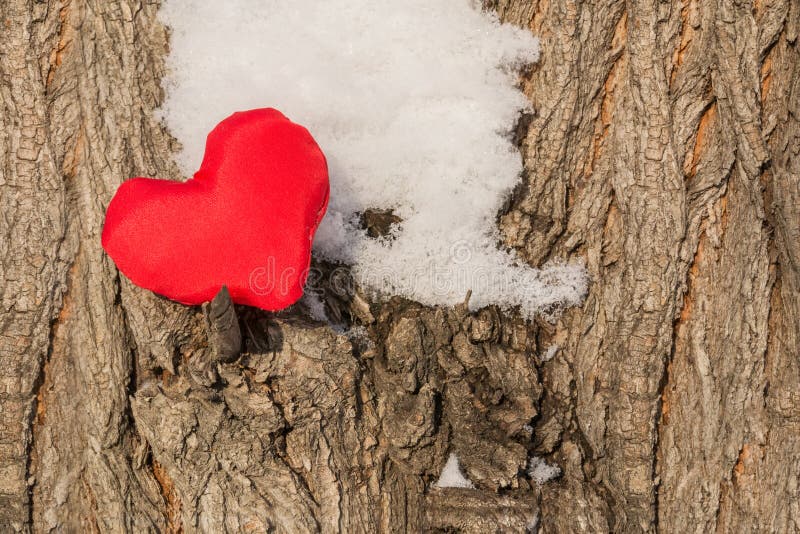 Red heart on tree stock image. Image of conceptual, february - 84570755