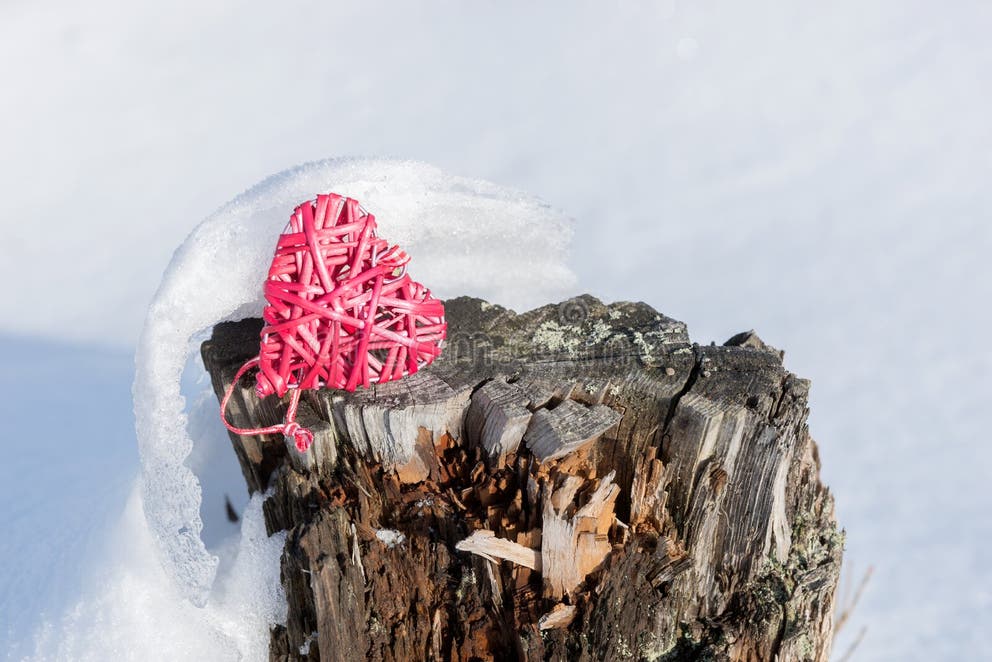 Red Heart on a Tree Stump in the Winter Forest Stock Image - Image of ...
