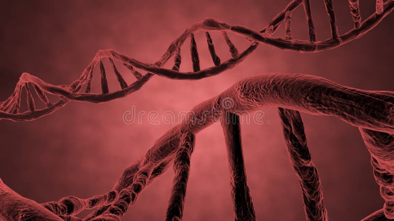 Red helix of DNA stock illustration. Illustration of cell - 51020186