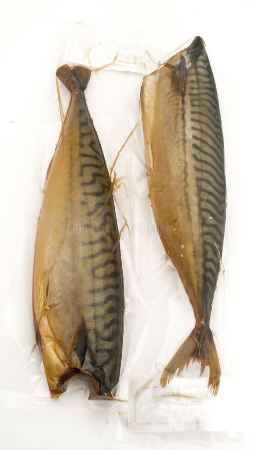 Red herring stock photo. Image of protein, fish, bloater - 604352