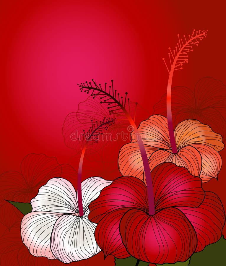 Red Hibiscus stock vector. Illustration of flower, shrub - 9857951
