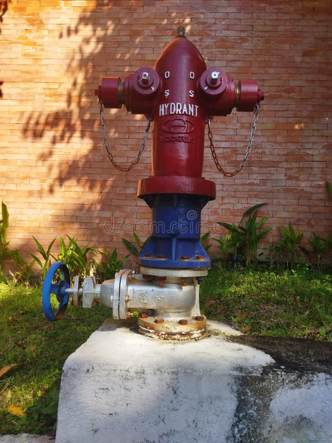 Red hidrant stay strong editorial photo. Image of stay - 379293986