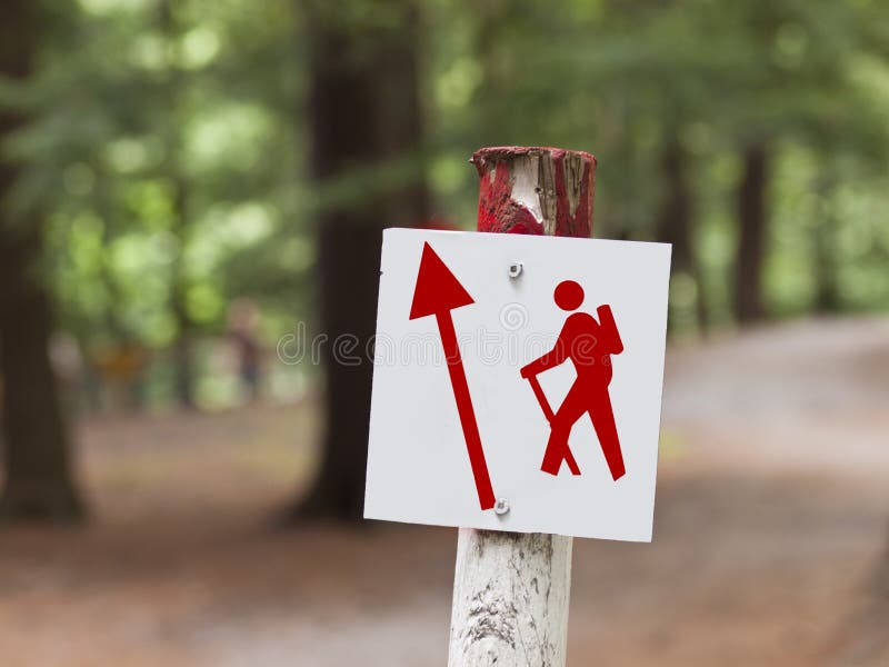 Red Hiking Path Sign in the Forest Stock Image - Image of nature, trees ...