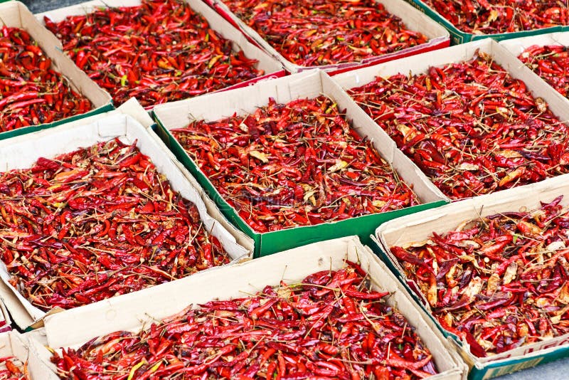 Red Hot Chiili stock image. Image of chilli, ingredient - 25202643