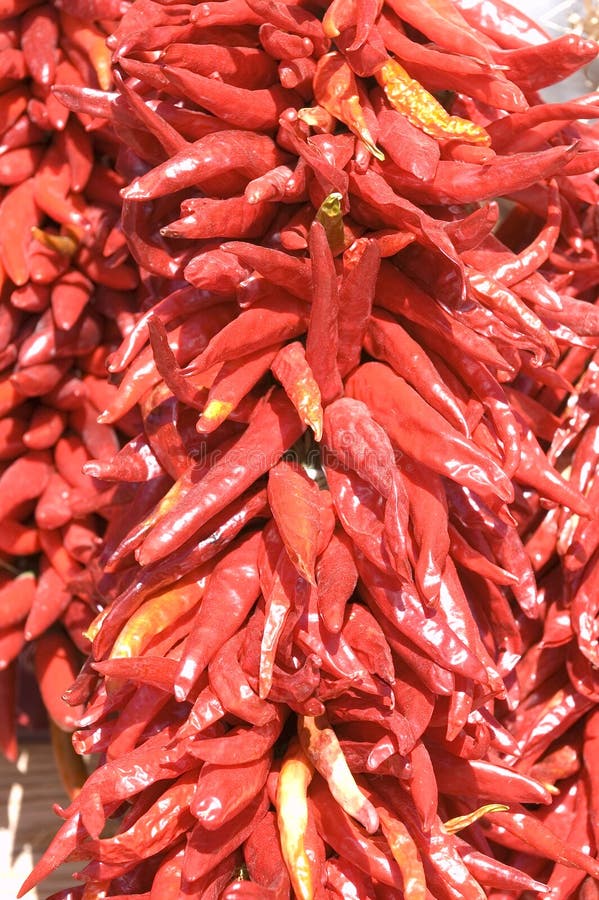 Red hot chile peppers stock photo. Image of indian, vegetable - 3501584