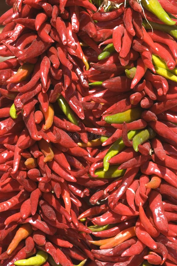 Long Red Chile Peppers -- Capsicum Annuum Amando Stock Photo - Image of ...