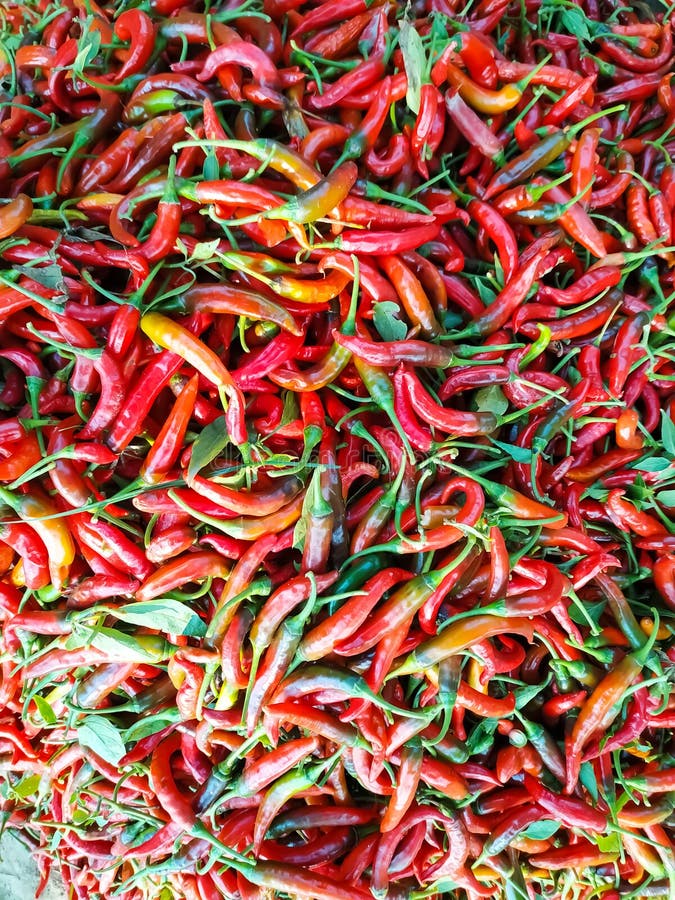 Red Hot Chili Pappers Natural Organic Stock Image - Image of organic ...