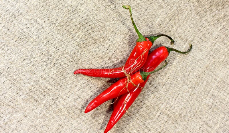 Chili Connected Stock Photos - Free & Royalty-Free Stock Photos from ...