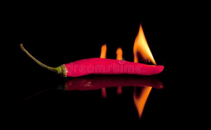 246 Flaming Hot Red Chili Pepper Stock Photos - Free & Royalty-Free ...